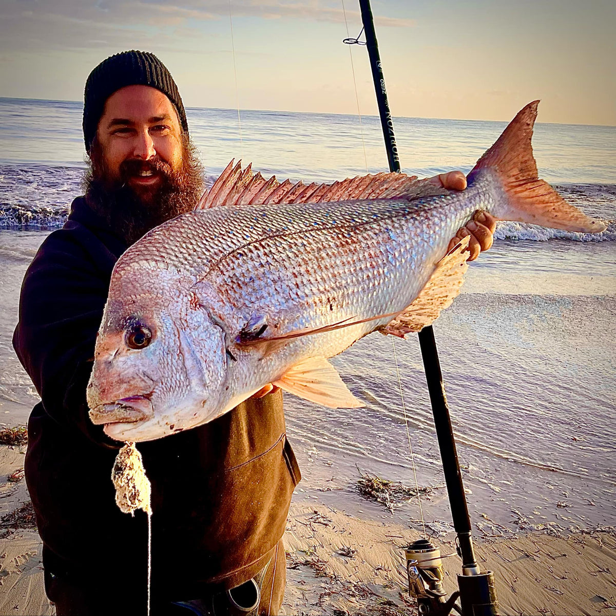 How We Build a Dingle Dangle Bait for Surfcasting Monster Snapper ...