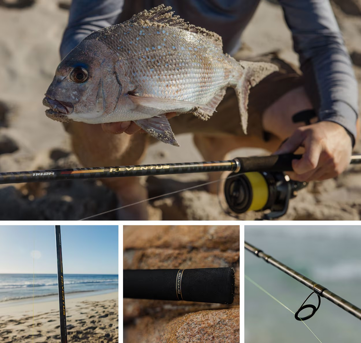 Shimano Reventus Rod – Quality FISHING - Rods by Shimano – Whiteys Tackle