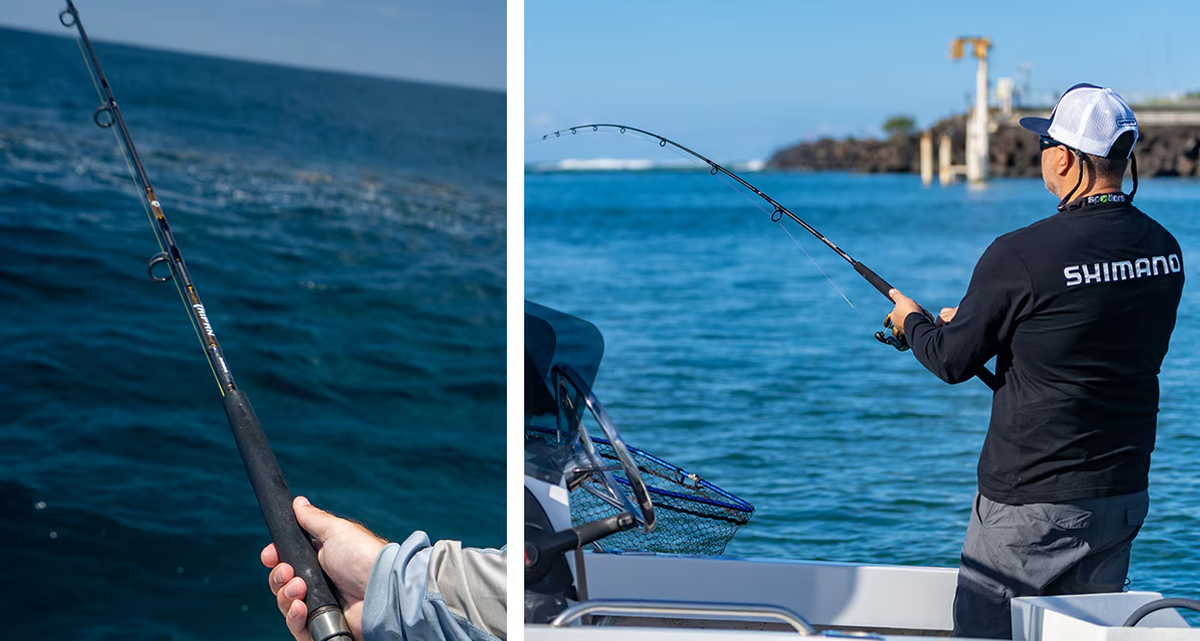 Shimano Taipan Rod – Whiteys Tackle