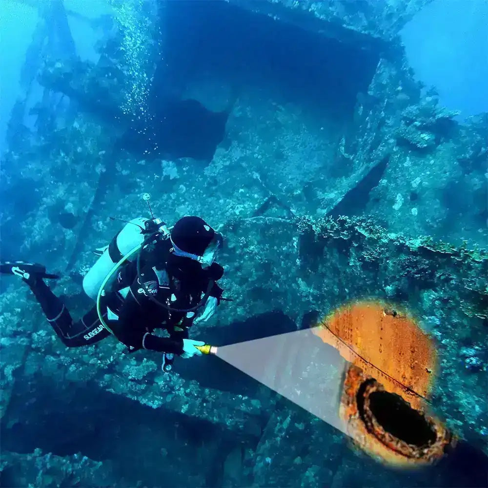 Land and Sea Adventure Waterproof Torch 180lm – Whiteys Tackle