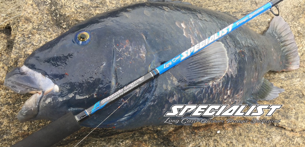 Oceans Legacy Long Cast Specialist Rods – Quality FISHING - Rods by ...